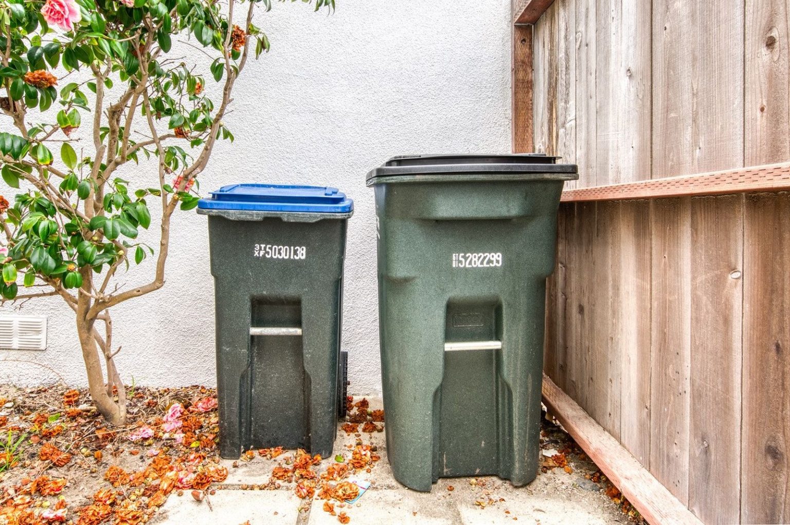 Premier Can Services