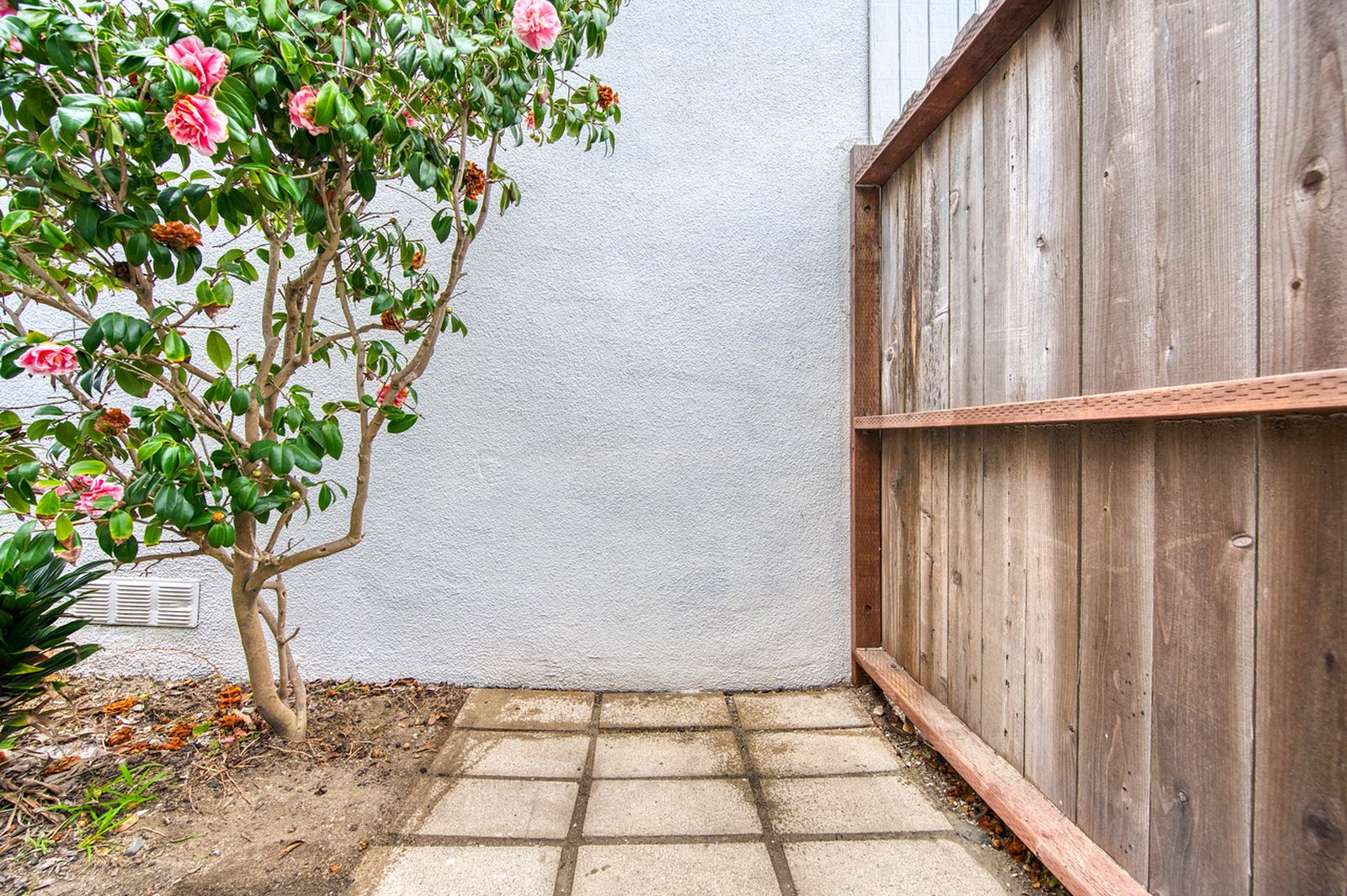 Premier Can Services